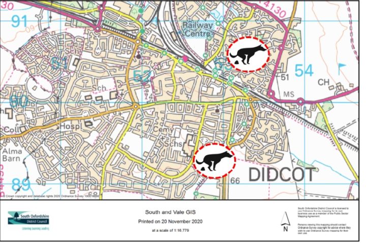 Councils launch a dog fouling awareness campaign with maps showing ...